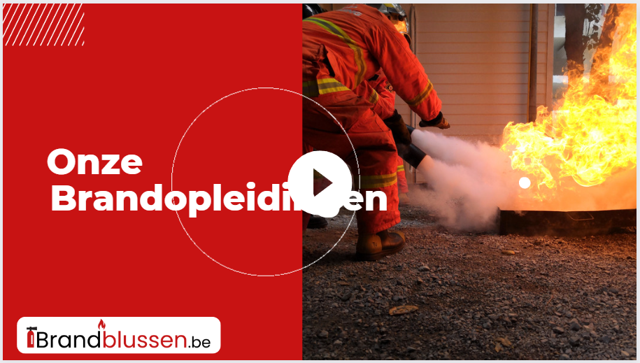 Brand Blussen